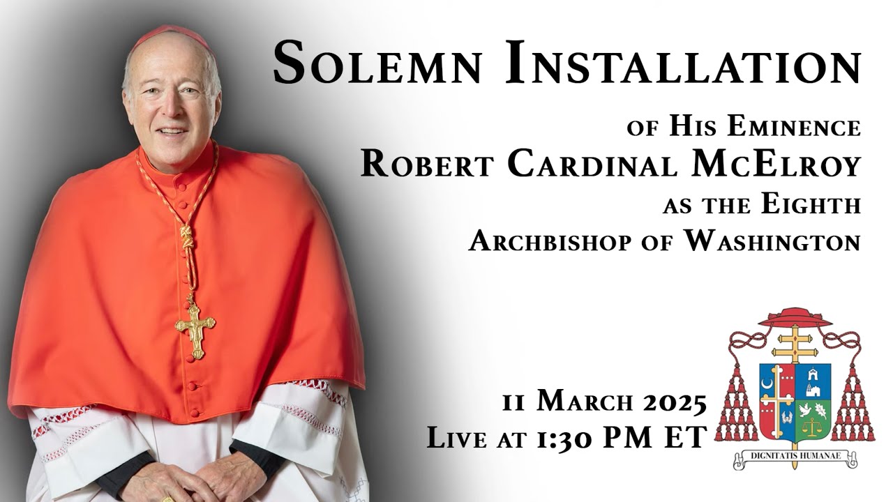 Cardinal McElroy: 5 pivotal moments shaping the Church today